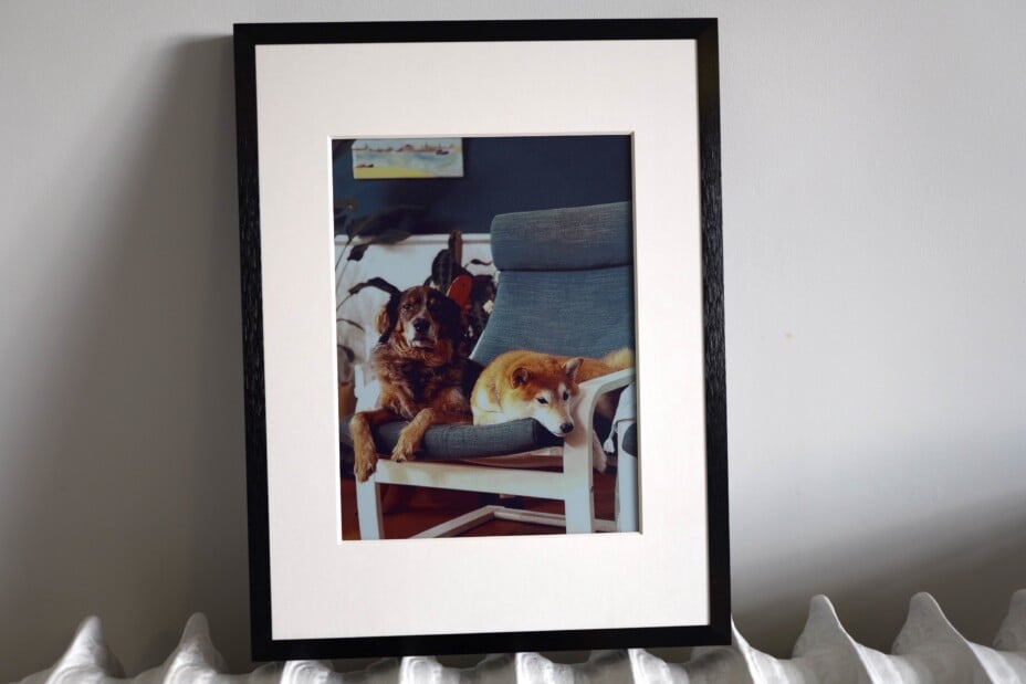 Test du SwitchBot AI Art Frame : le numérique photo n’est pas mort ...