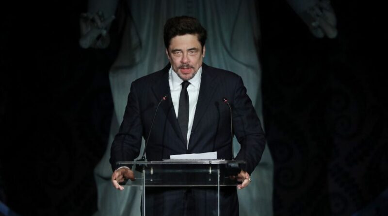 Benicio del Toro : Chelsea Handler lui fait des avances | 1001infos
