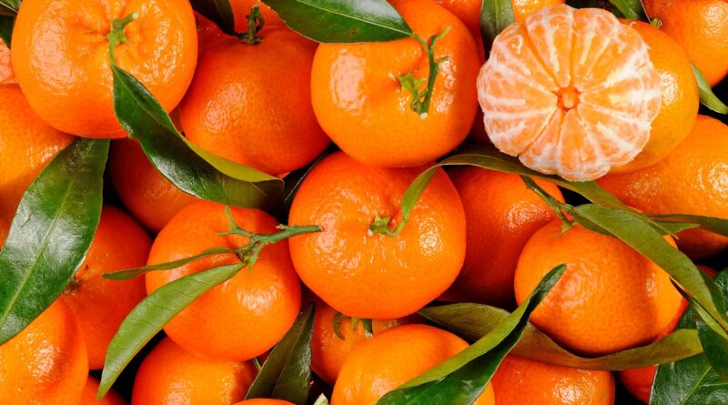 Fruits : Clémentine et Thomson maintiennent les prix en décembre 2025 ...