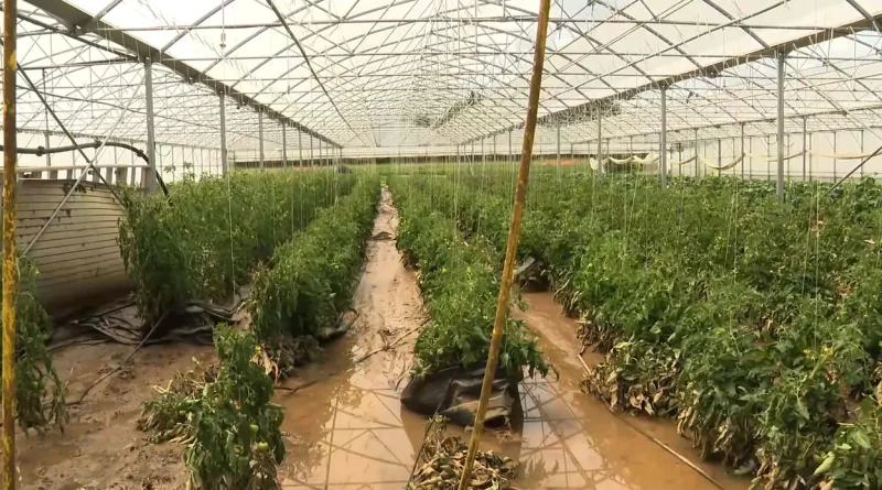 Météo instable : agriculture wallonne craint des dégâts jusqu'à jeudi ...
