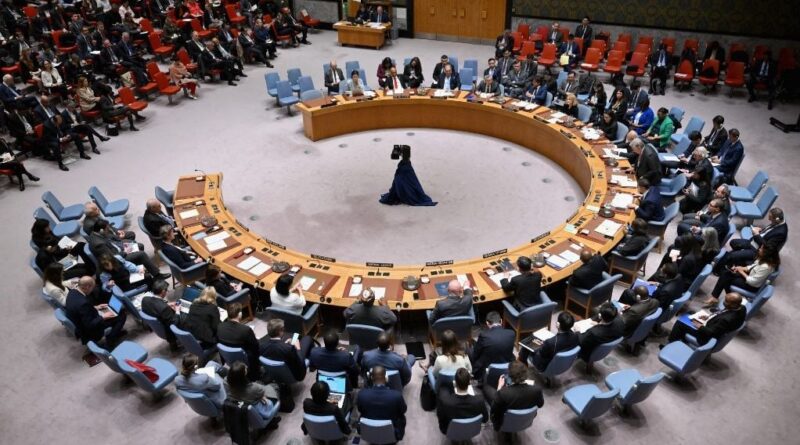 ONU : Allemagne échoue à obtenir un siège au Conseil de sécurité ...